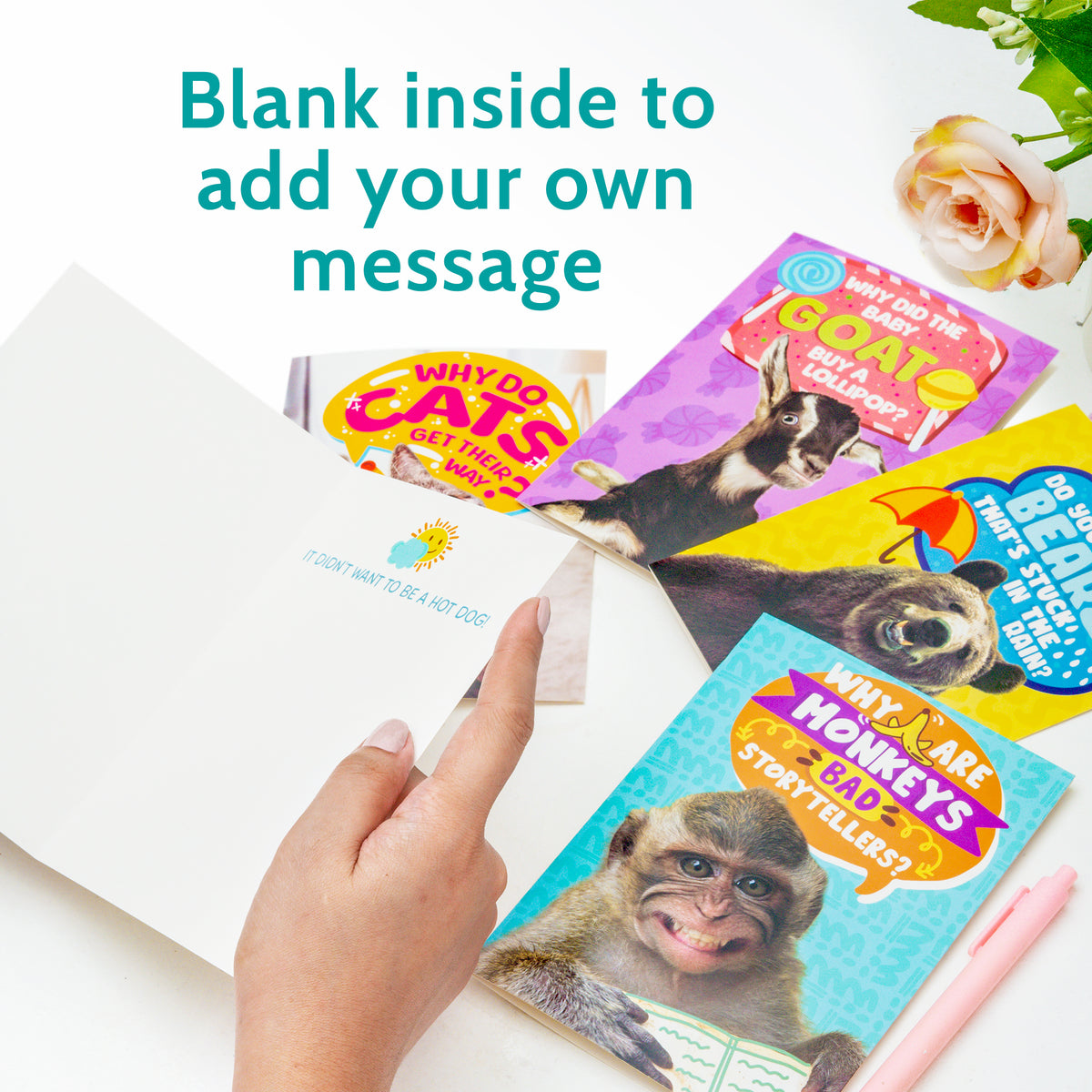 24 Funny Animal Greeting Cards - 24 Unique Designs with No Repeats – T ...