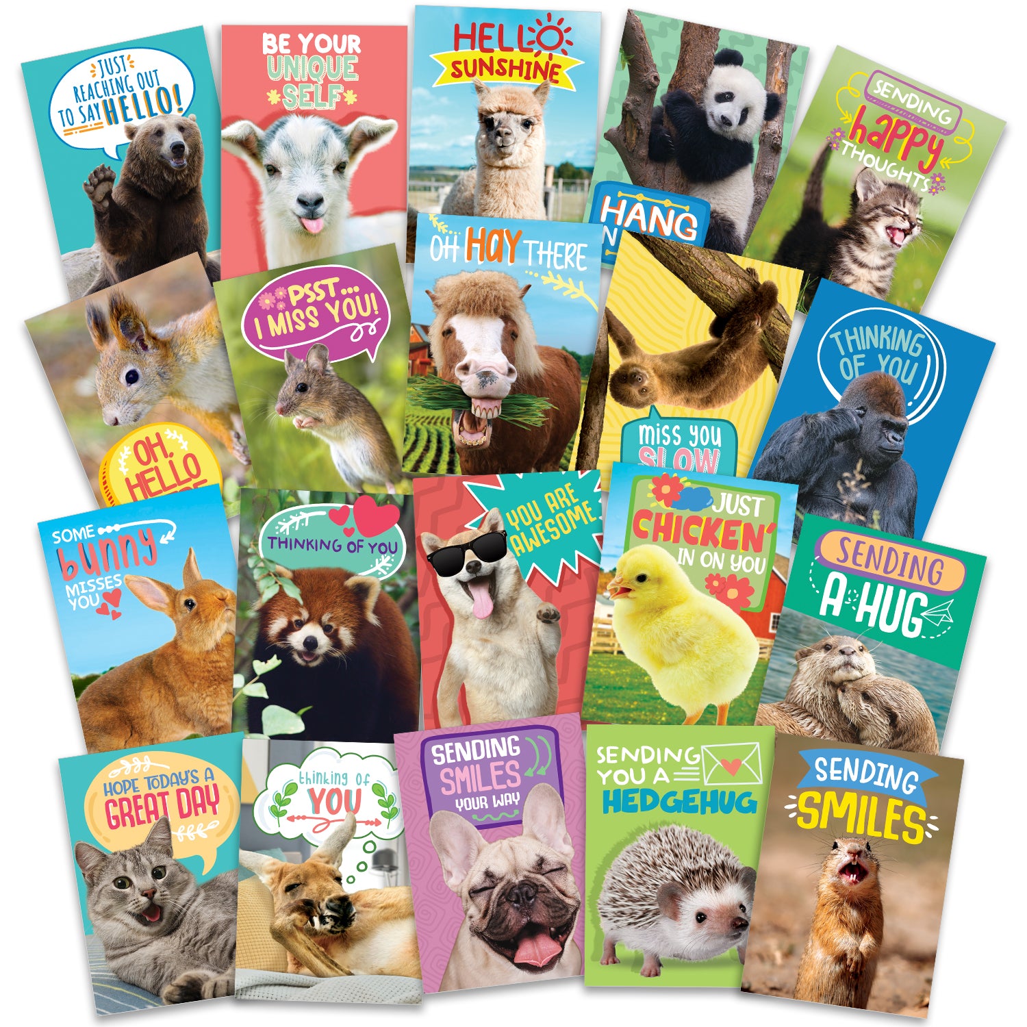 Funny Animal Postcards – T Marie Stationery