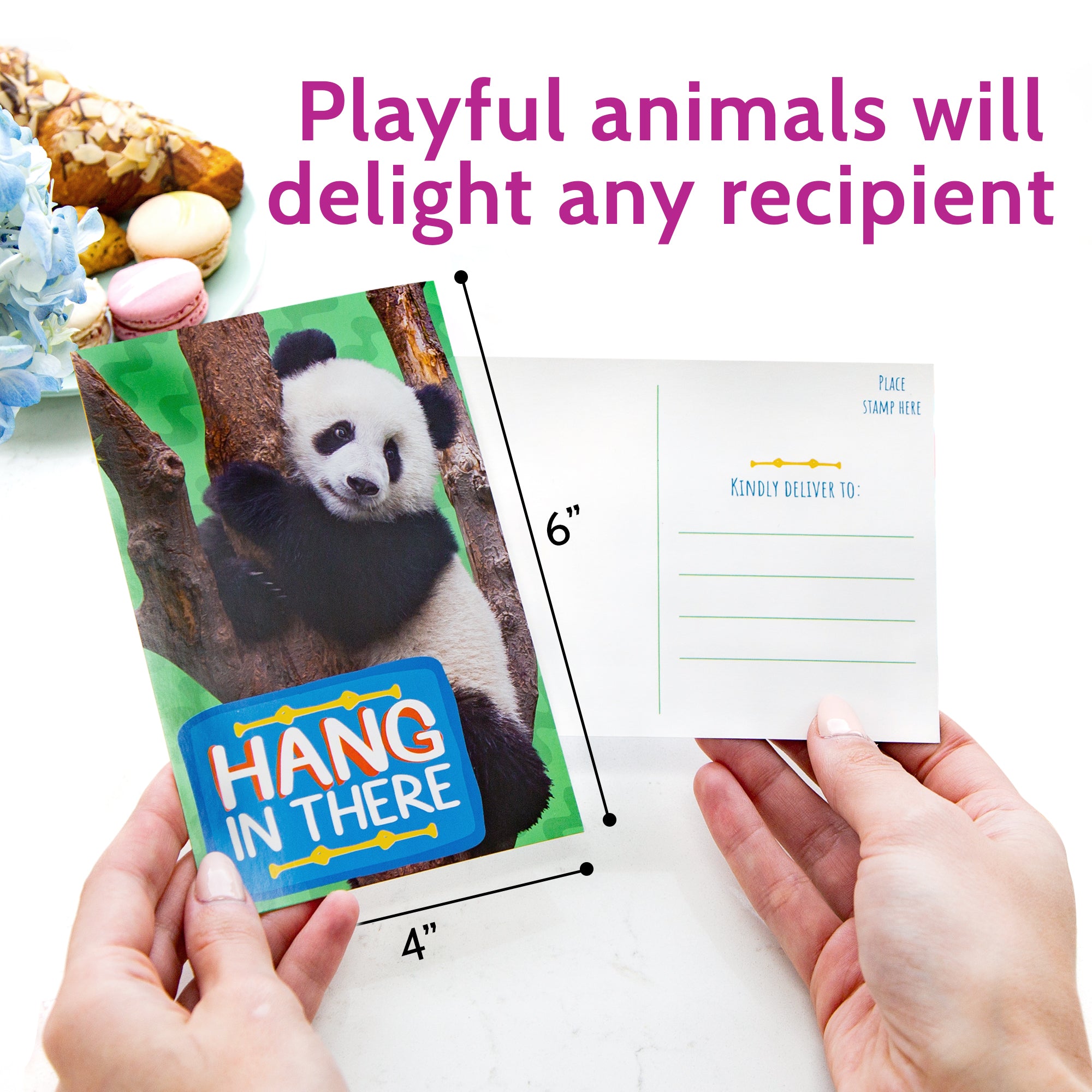 Funny Animal Postcards – T Marie Stationery