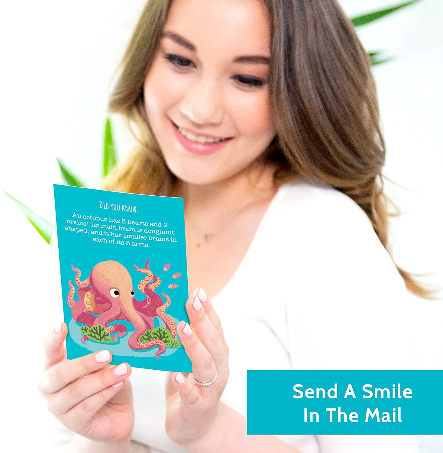 Animal Fun Facts Postcards – T Marie Stationery