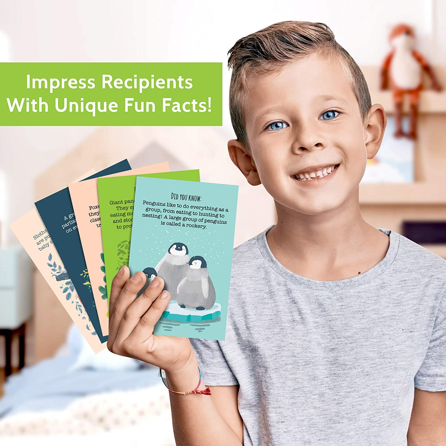 Animal Fun Facts Postcards – T Marie Stationery